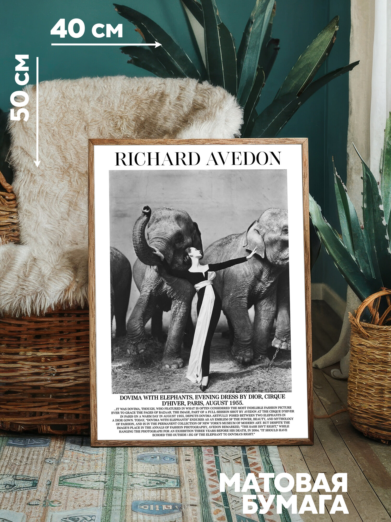 Постер репродукция фотографии Ричард Аведон "Довима со слонами" 40х50
