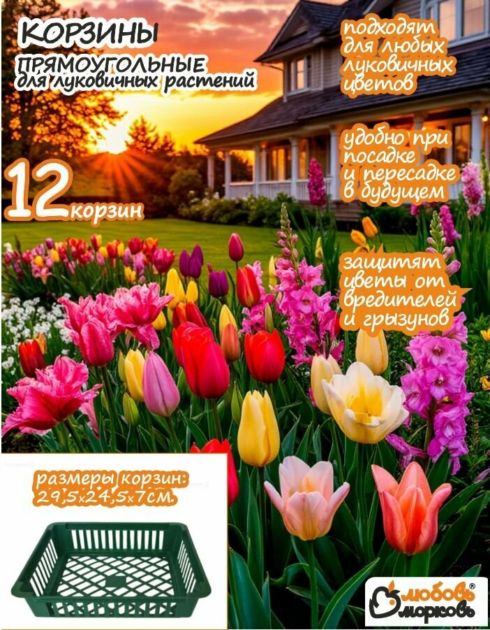 Корзина для луковичных растений, прямоугольная, 12 шт
