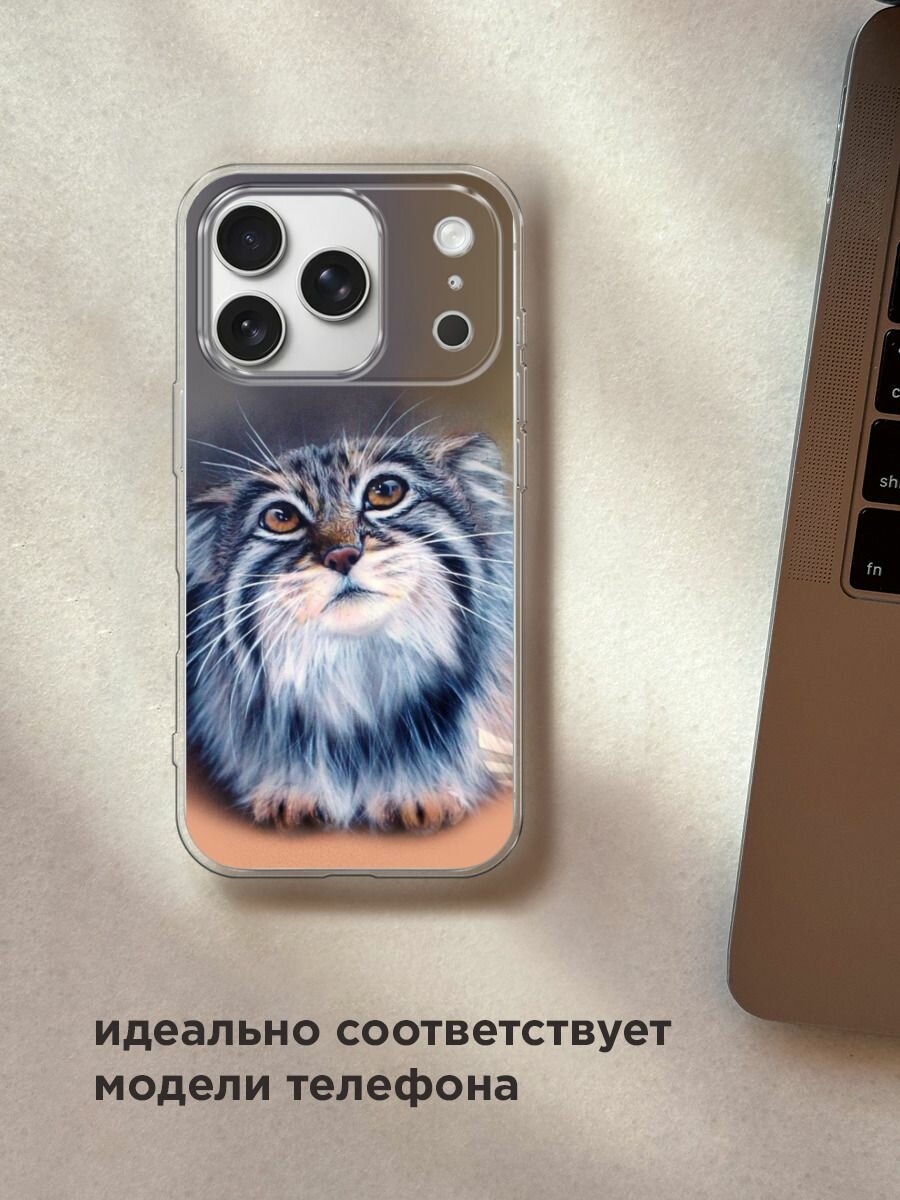 Чехол на Apple iPhone 17 Pro / Айфон 17 Про с принтом "Кот манул 2" — фото 1