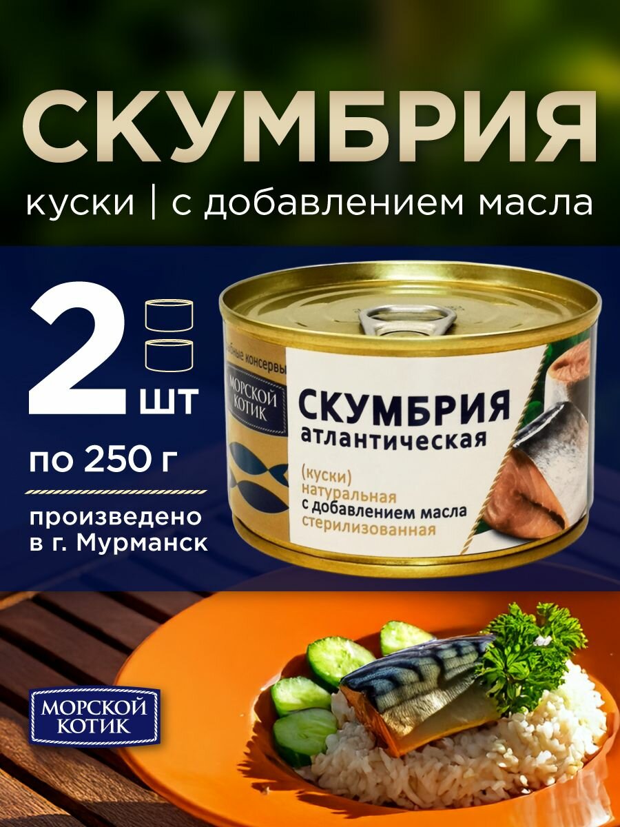 Морской котик Скумбрия атлантическая натуральная с добавлением масла 250г. набор 2 шт