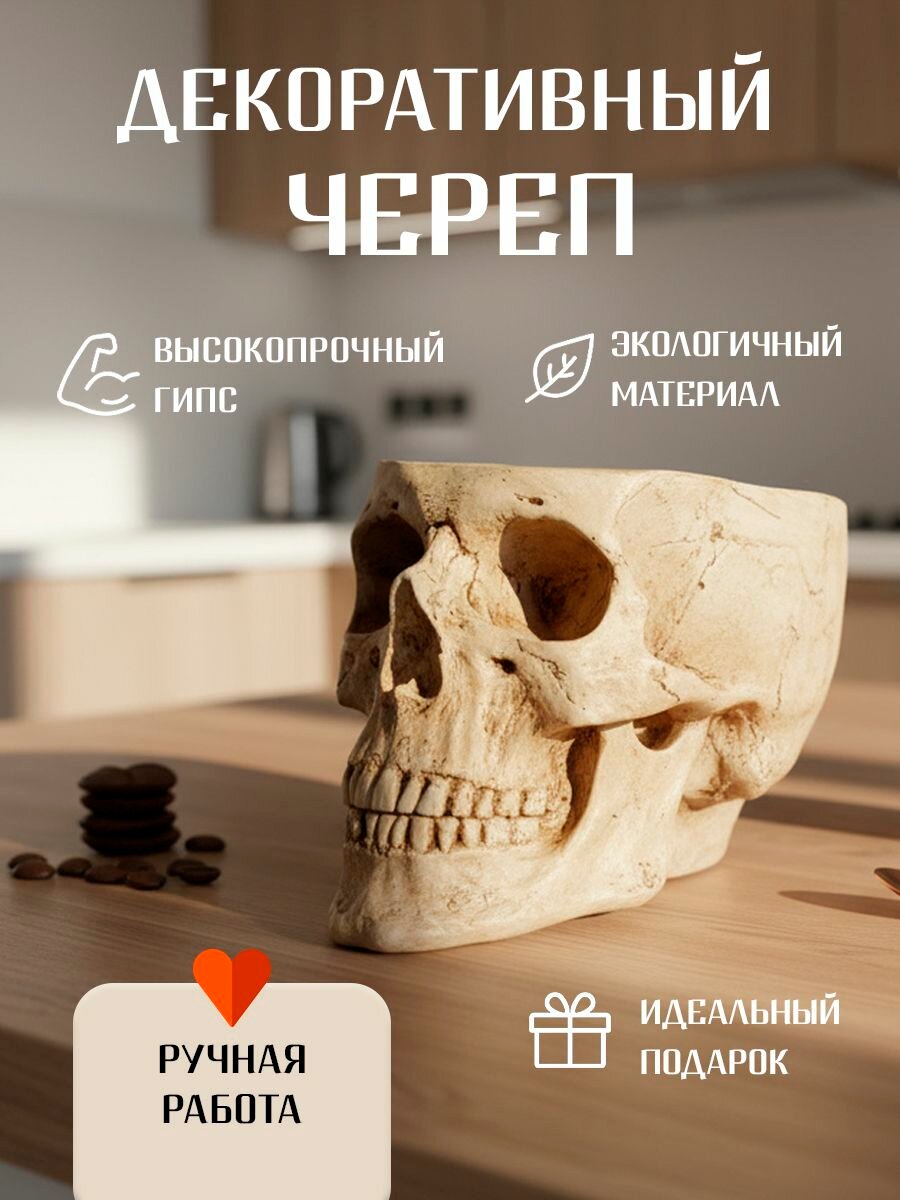 Череп декоративный, конфетница, ключница, кашпо