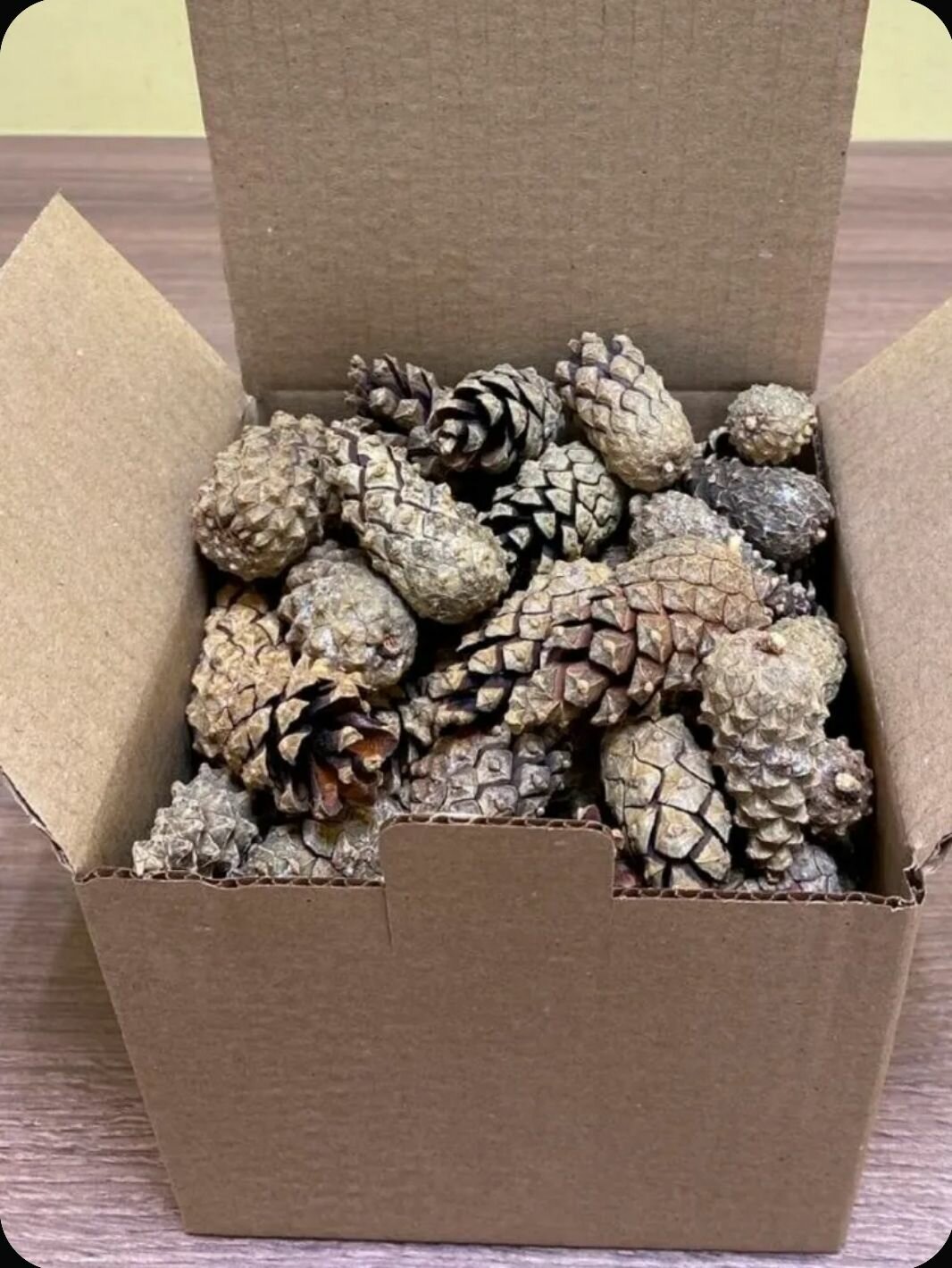 Ветка, шишка декоративная