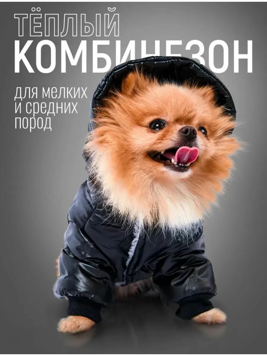 Демисезонный комбинезон-куртка для мелких и средних собак водоотталкивающий с флисом, капюшон, размеры L (для йорков, шпицев, мопсов, чихуахуа)
