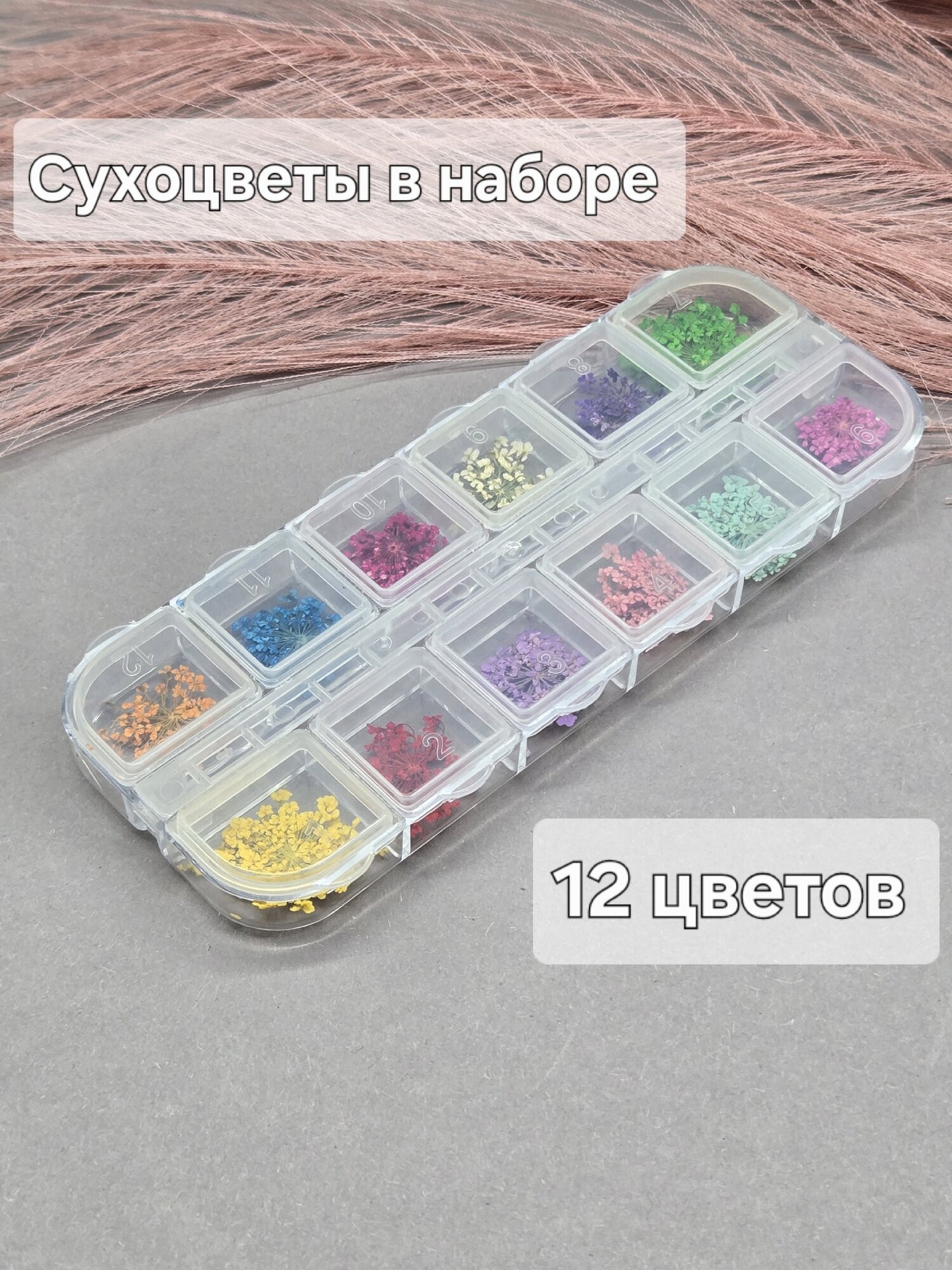 Набор сухоцветов для маникюра и творчества, 12 цветов