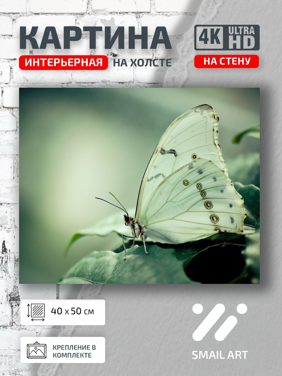 Картина на холсте интерьерная 40 на 50 на стену Бабочка Landscape для кафе пейзаж интерьер