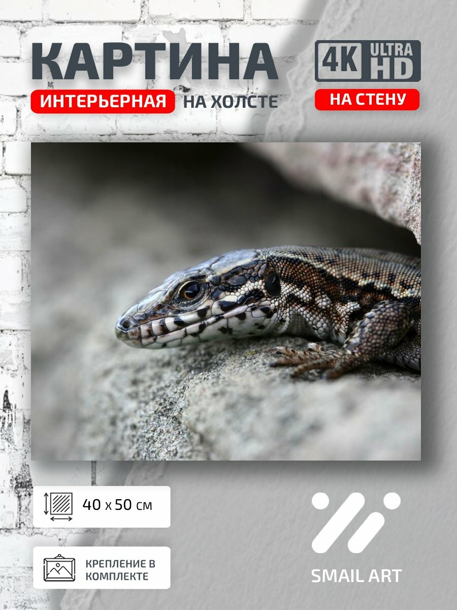 Картина на холсте интерьерная 40 на 50 на стену Ящерица Landscape для кабинета пейзаж декор