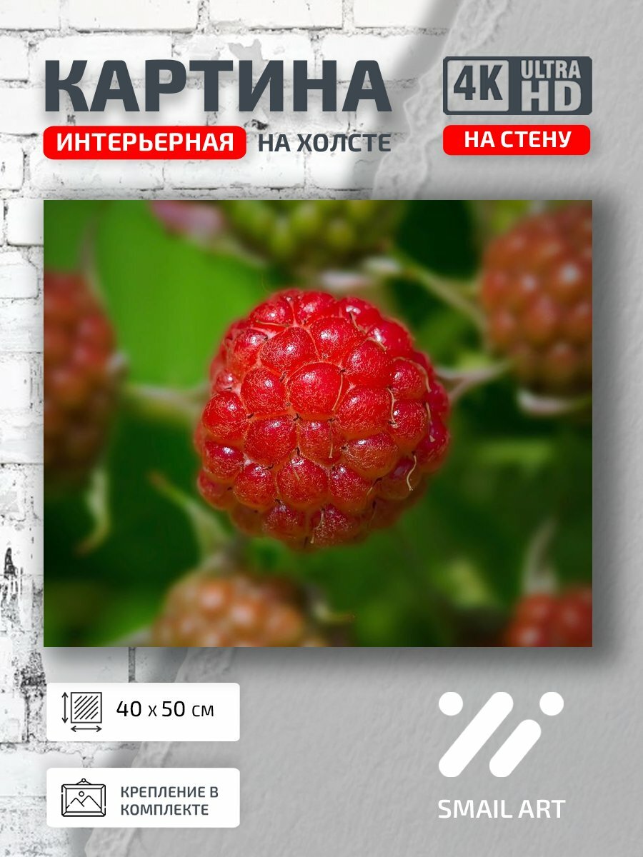 Картина на холсте интерьерная 40 на 50 на стену Малина Food для кафе кулинария интерьер