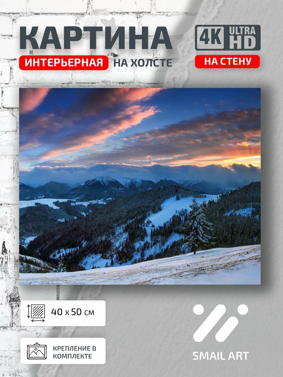 Картина на холсте интерьерная 40 на 50 на стену Снег Landscape для гостиной пейзаж интерьер