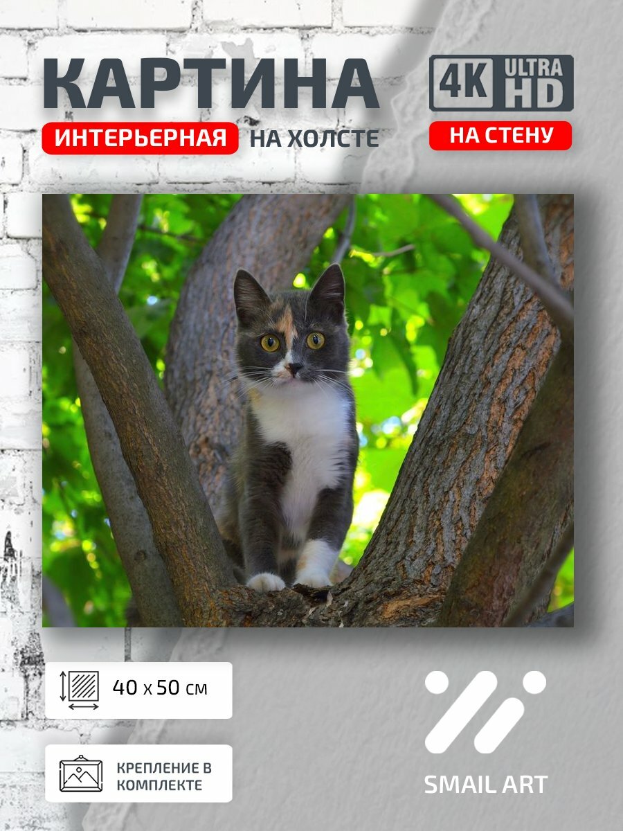 Картина на холсте интерьерная 40 на 50 на стену Ствол Landscape для гостиной пейзаж декор