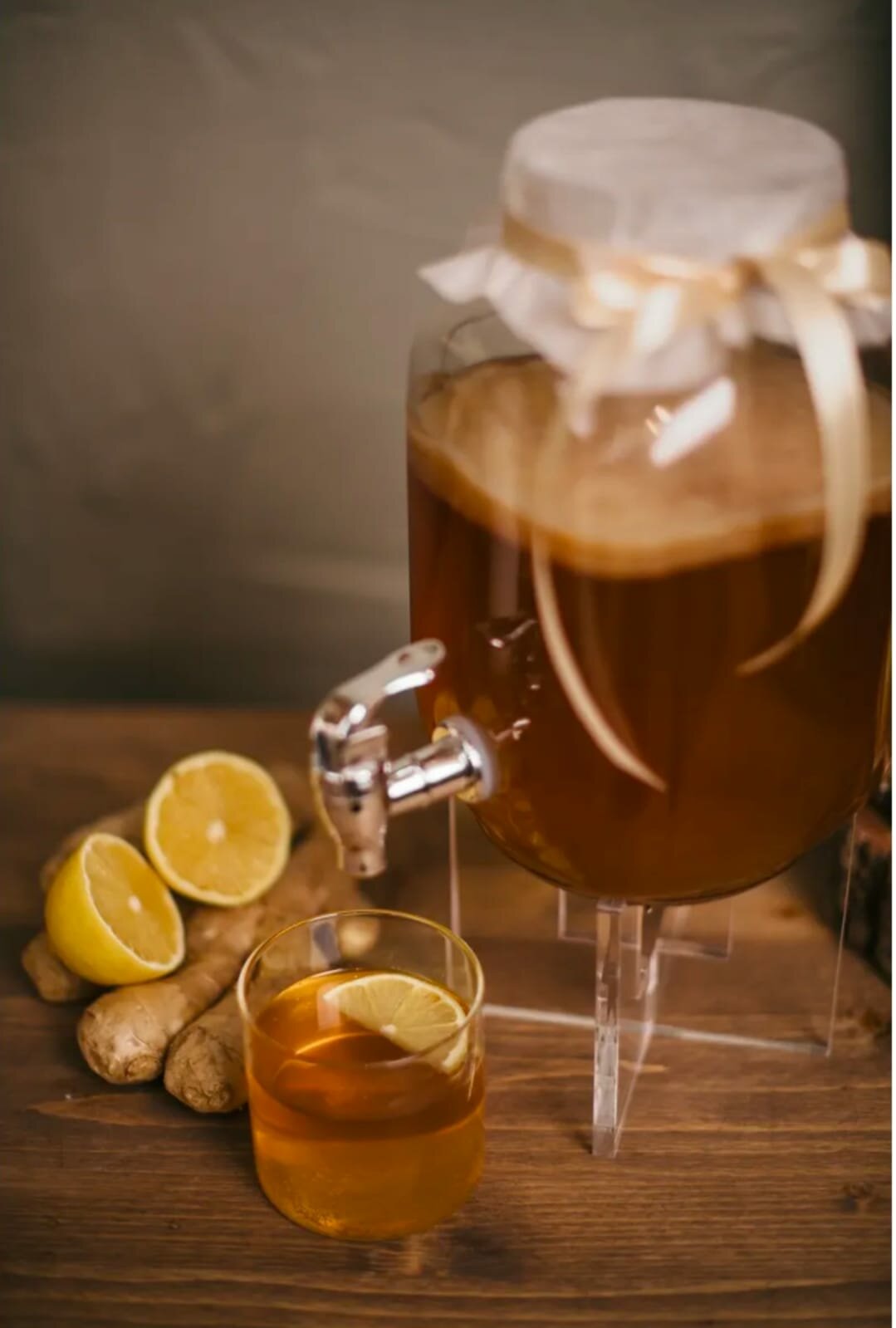 Чайный гриб, живая биокультура создающая полезный для здоровья напиток Комбуча