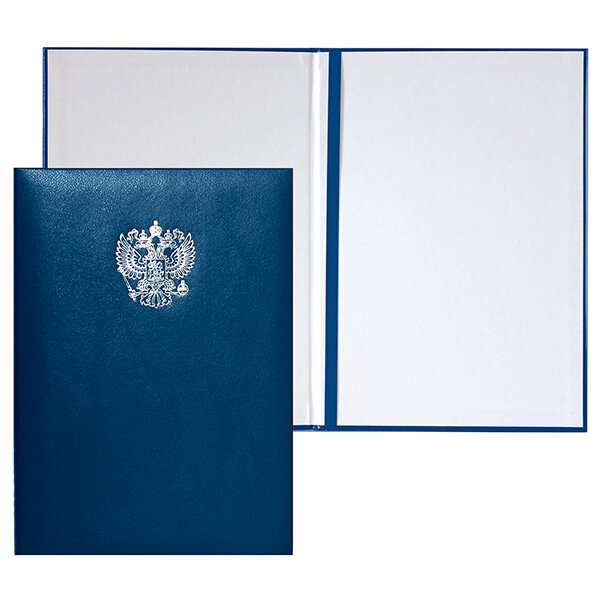 Папка адресная " deVente " Герб РФ синяя А4, лента для удержания документов, бумвинил, количество: 2 штуки