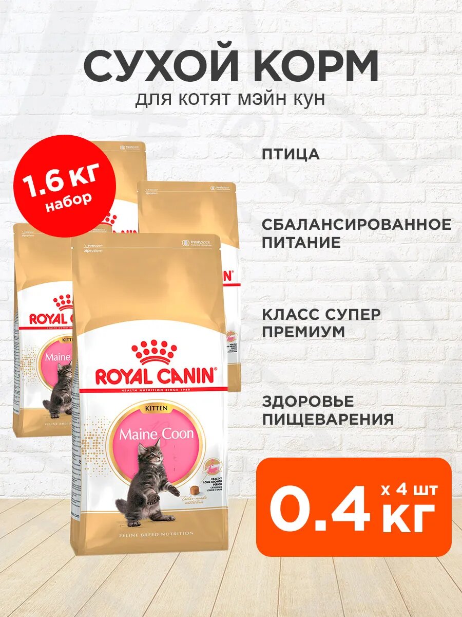 Корм сухой Royal Canin Maine Coon Kitten 36 для котят мэйн кун, 0,4 кг х 4 шт
