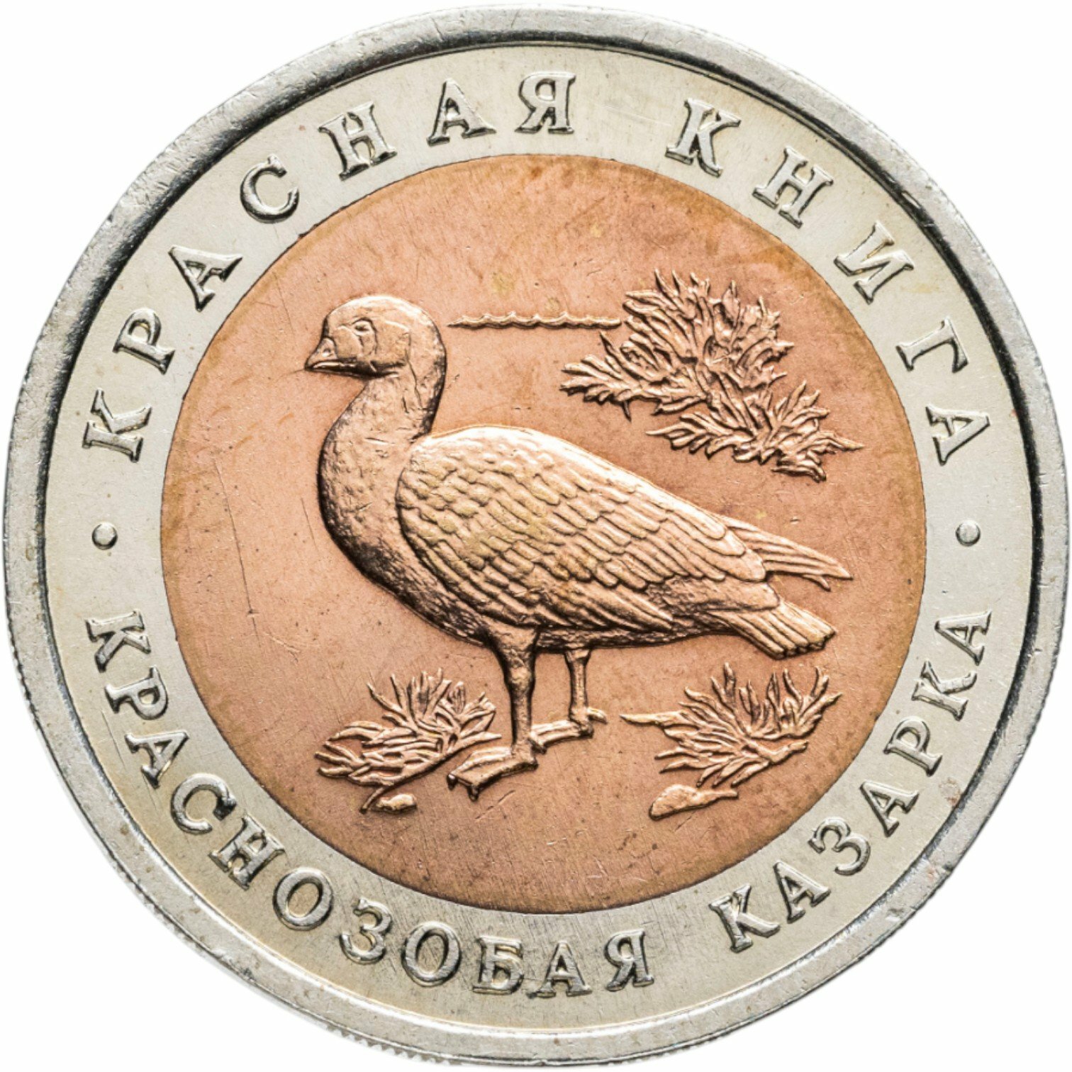 10 рублей 1992 ЛМД краснозобая казарка, Биметалл, в сохранности XF-AU