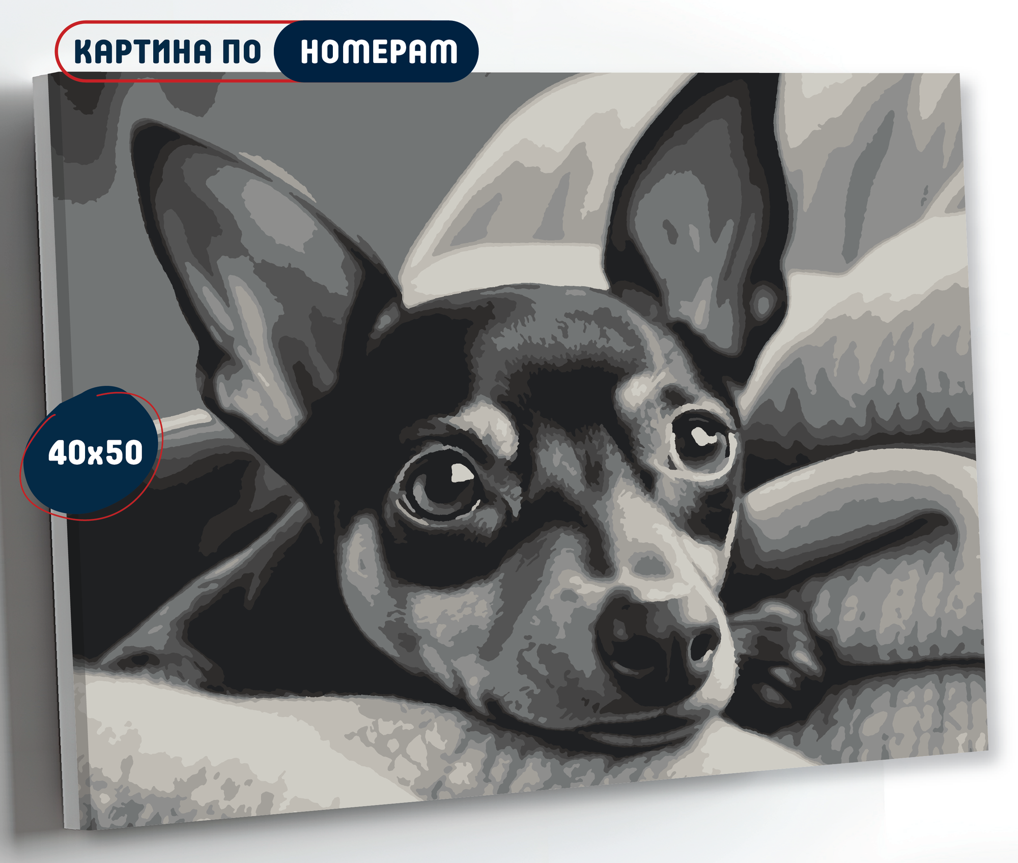 Картина по номерам "Той-терьер", Холст на подрамнике 40х50, набор для рисования, с животными