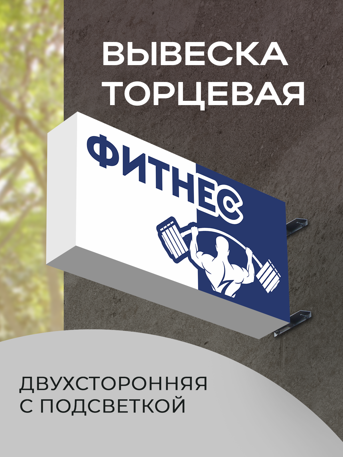 Вывеска торцевая двухсторонняя с подсветкой 30х60 "фитнес" 5