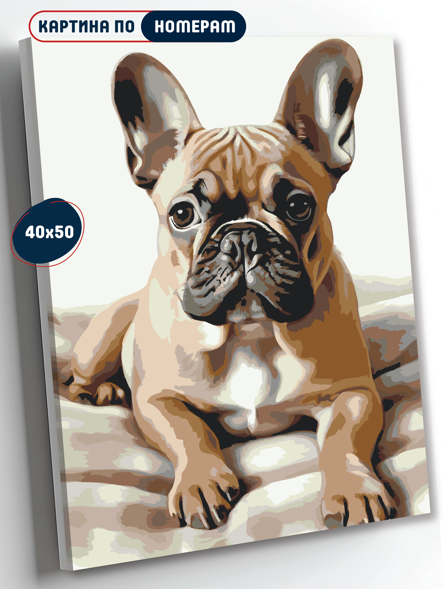 Картина по номерам "Собаки.№48", Холст на подрамнике 40х50, набор для рисования
