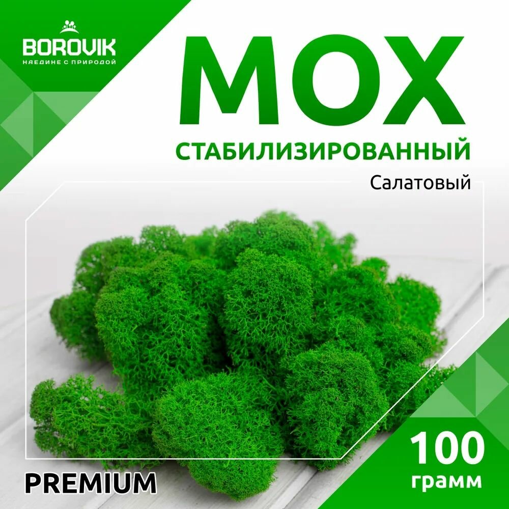 PREMIUM Стабилизированный мох Салатовый 100 гр. не просто декор, а живой акцент, который не требует ухода!