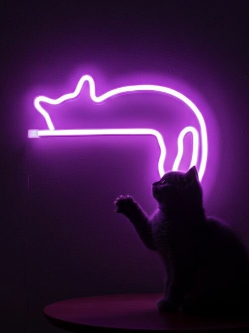 Неоновая вывеска Ленивый Кот фиолетовая LED USB/батареи ночник для домашнего декора и праздничного освещения