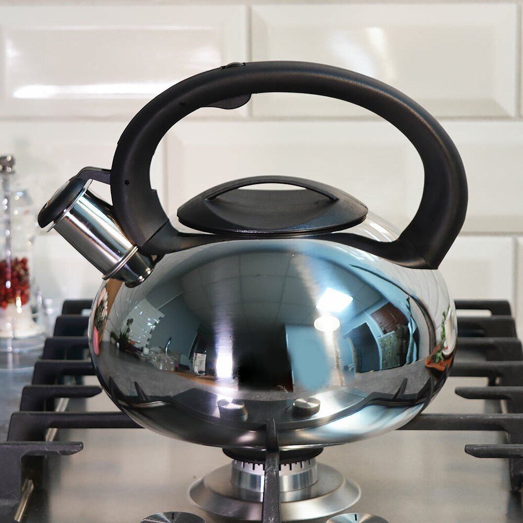 Чайник со свистком 2,5 л из нержавеющей стали, для индукции, матовый/полированный