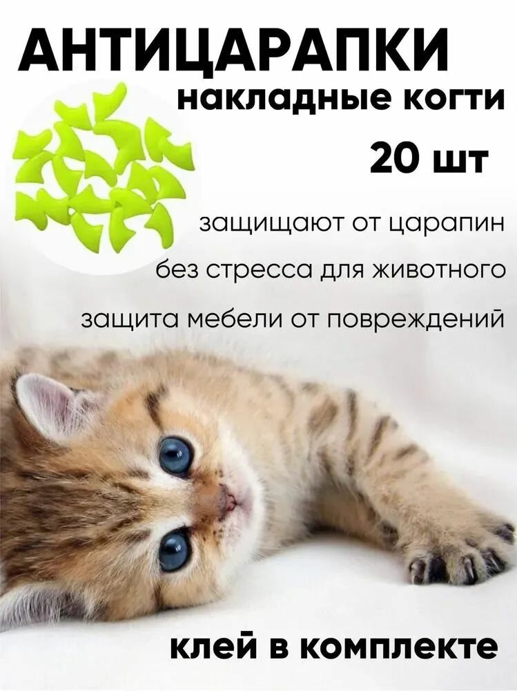 Антицарапки для кошек, накладки на ногти для животных, 20 штук
