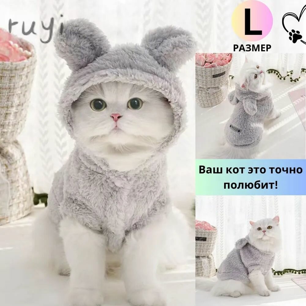 Одежда для животных