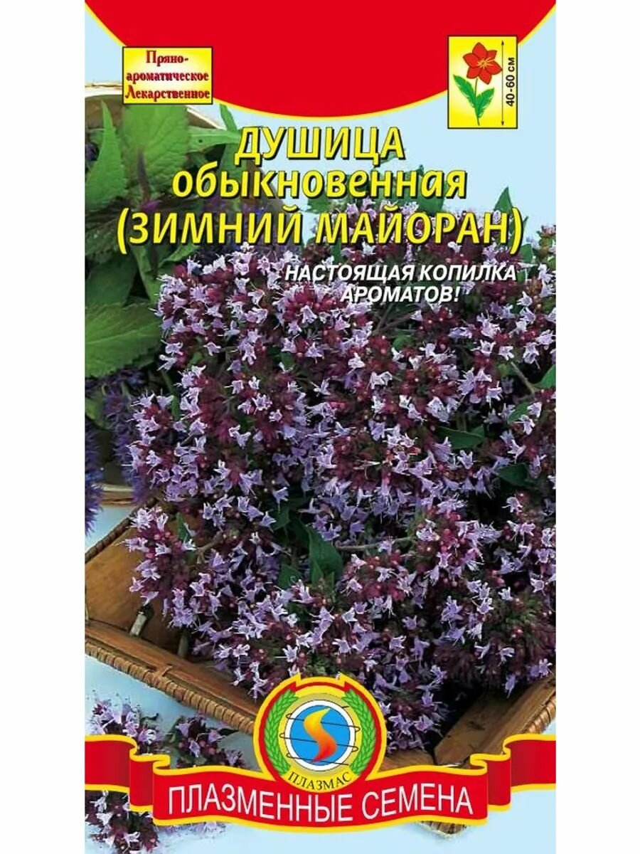 Душица (орегано) обыкновенная 0,1 г, Плазменные семена
