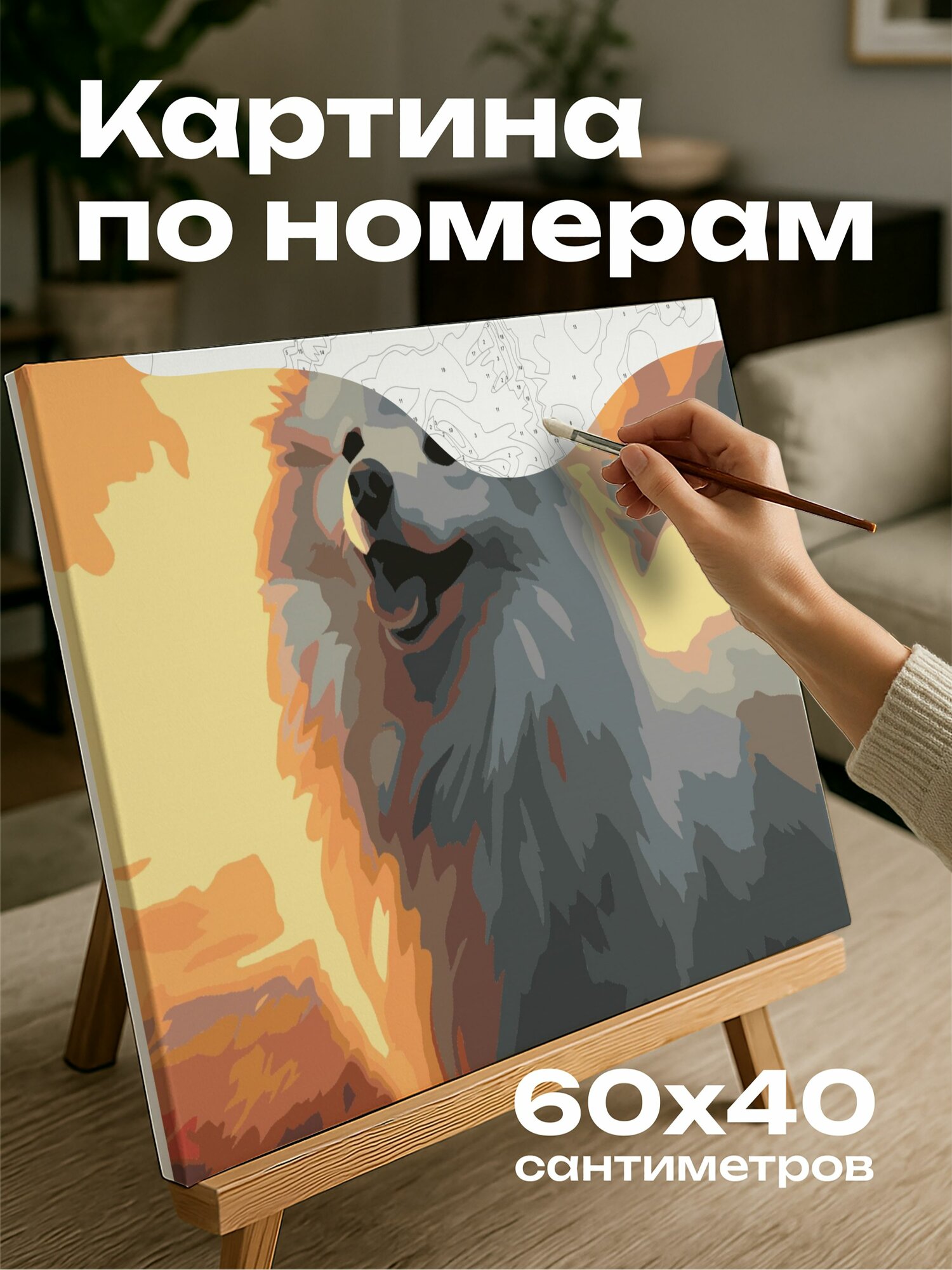 Картина по номерам 60x40 см, цифровая картина, собака шпиц, пушистый мех, белый, сияние солнца, трюки, яркие цвета