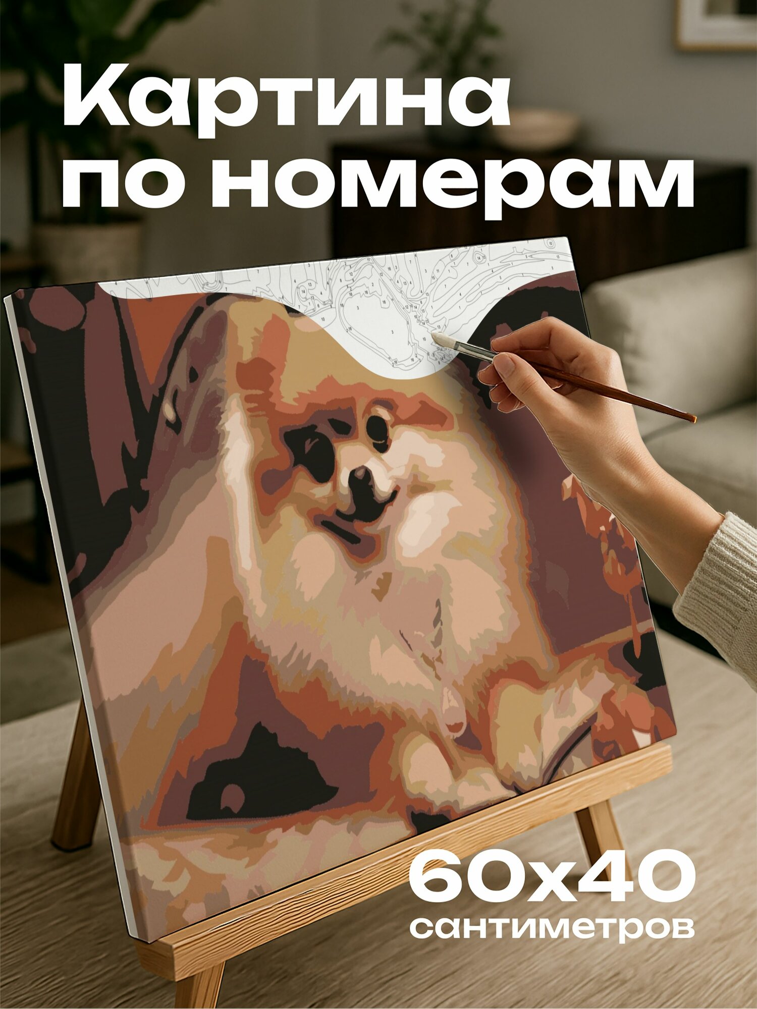 Картина по номерам 60x40 см, шпиц, фотография, высокое разрешение, стильная обстановка, элегантность, грация