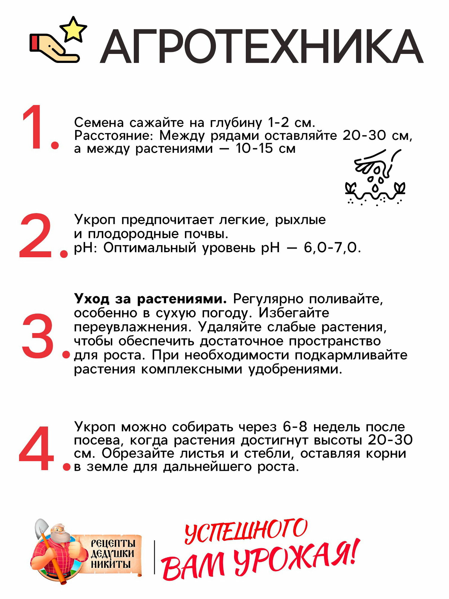 Семена Укроп "Крокодил", 2 г, посев (посадка) в грунт: апрель, 2 шт. — фото 1