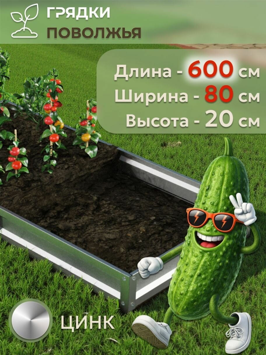 Грядка усиленная оцинкованная 6х0,8 м, высота 20 см, Цинк