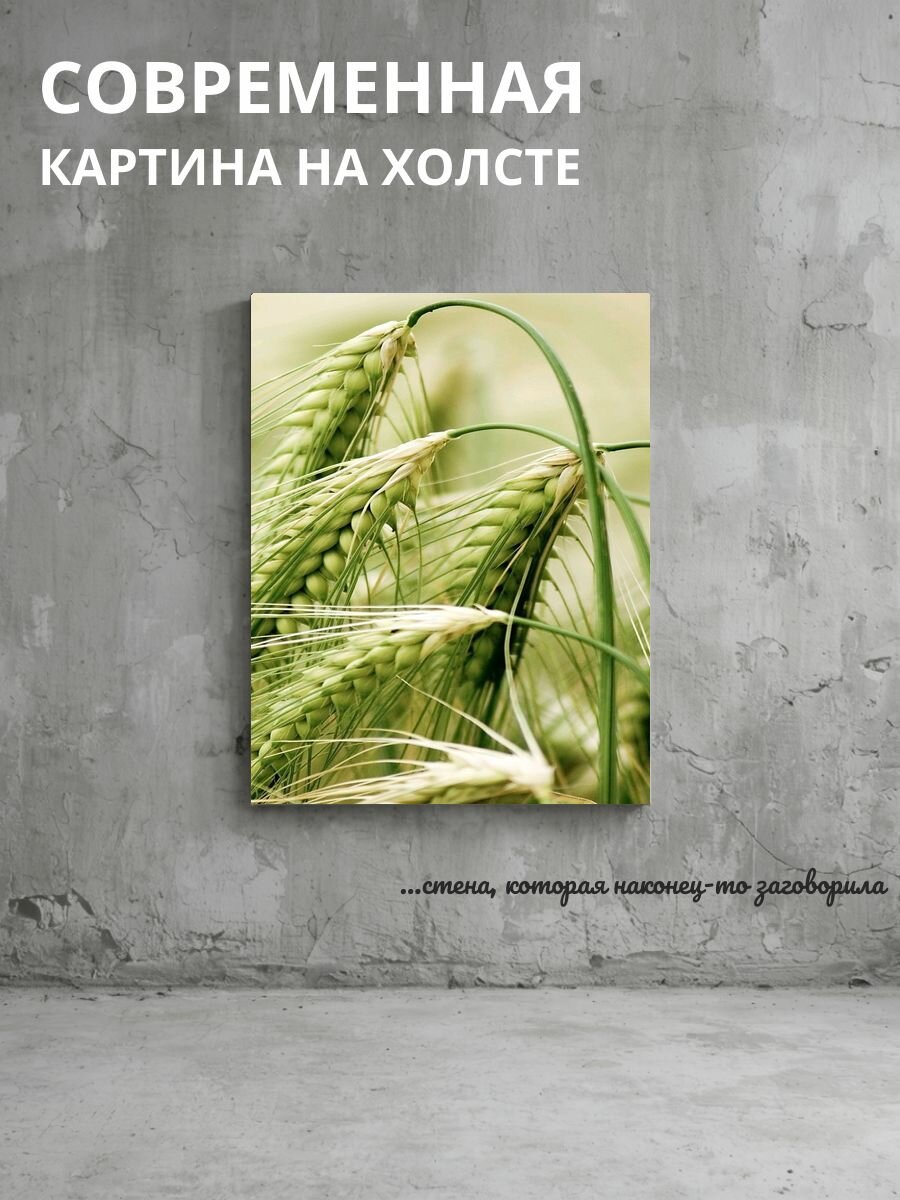 Картина на холсте Колосья пшеницы 20x30 см