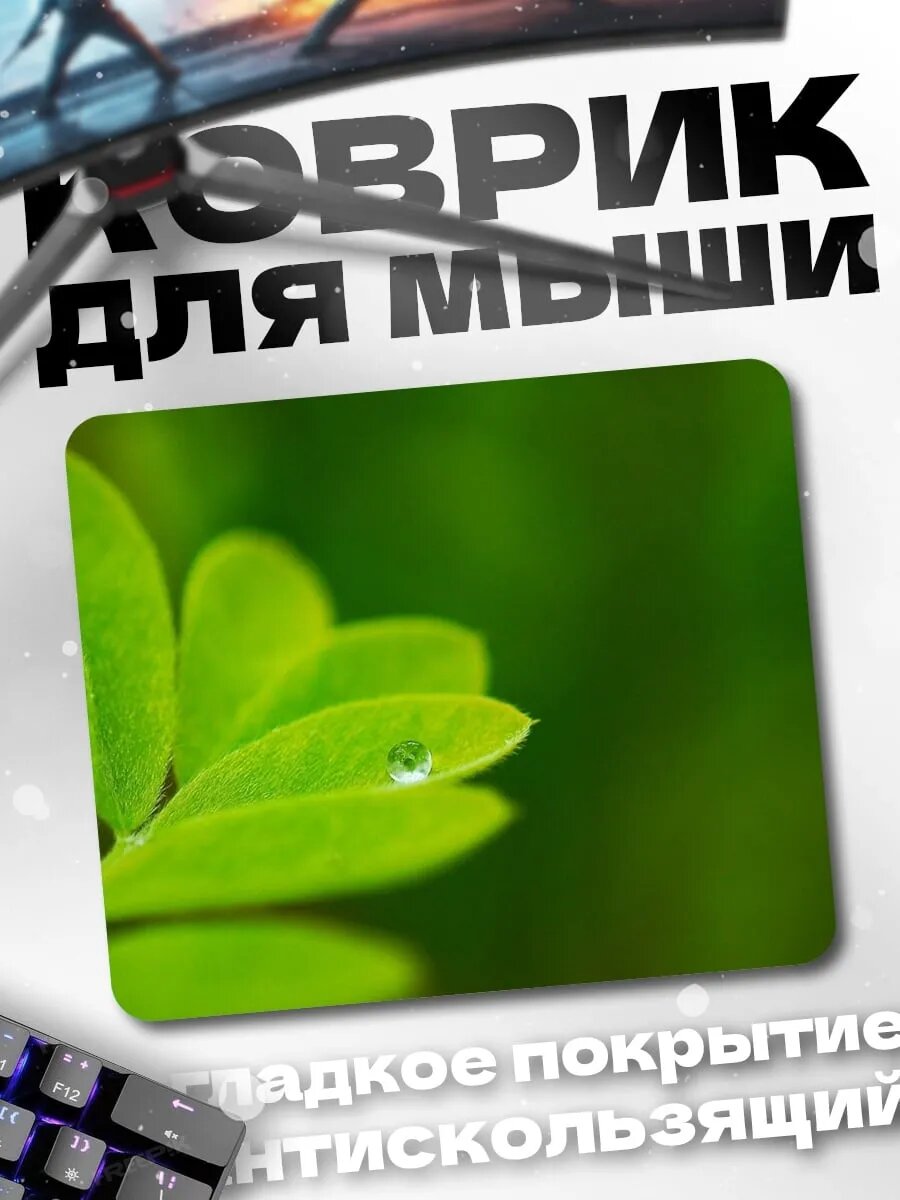 Коврик для мыши Зелёный лист с каплей