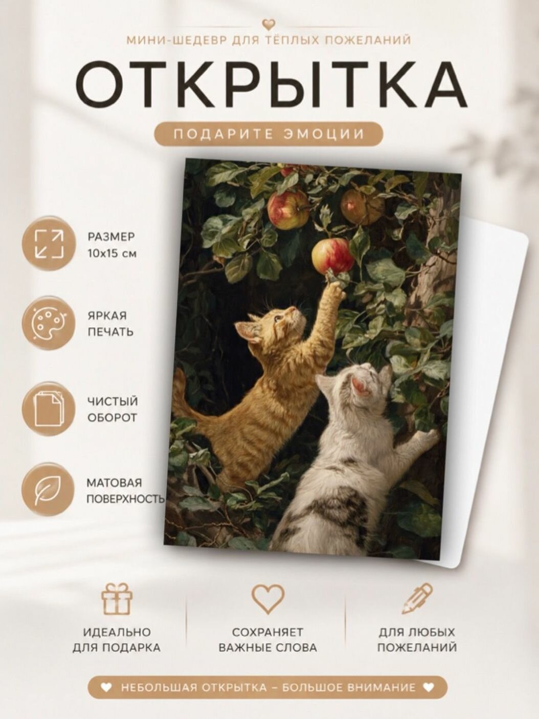 Открытка милая с котиками