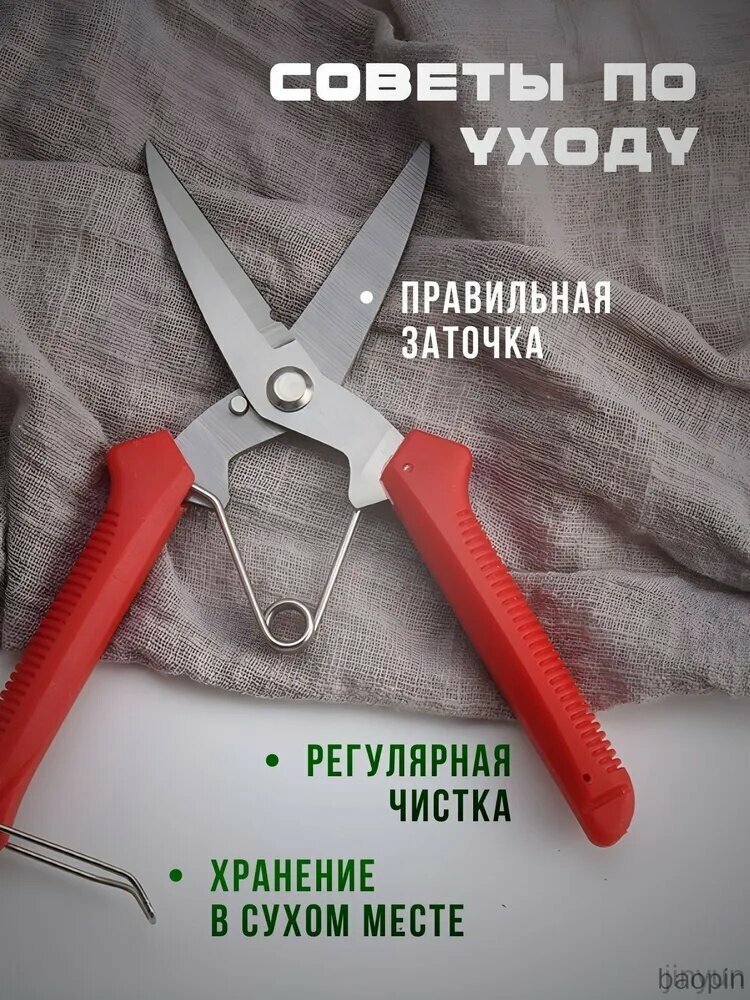 Сучкорез — фото 1