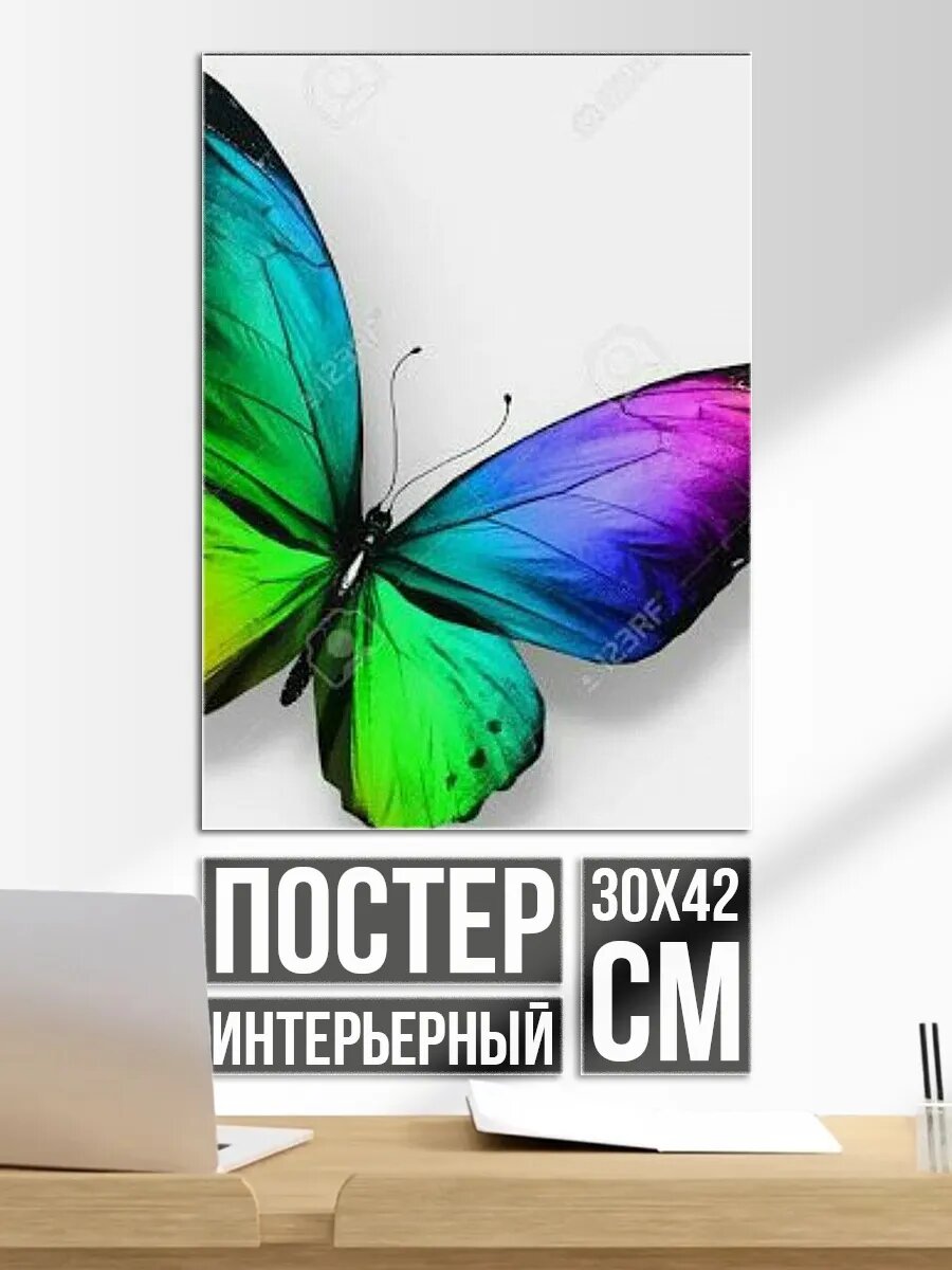Плакат постер Радужная бабочка арт