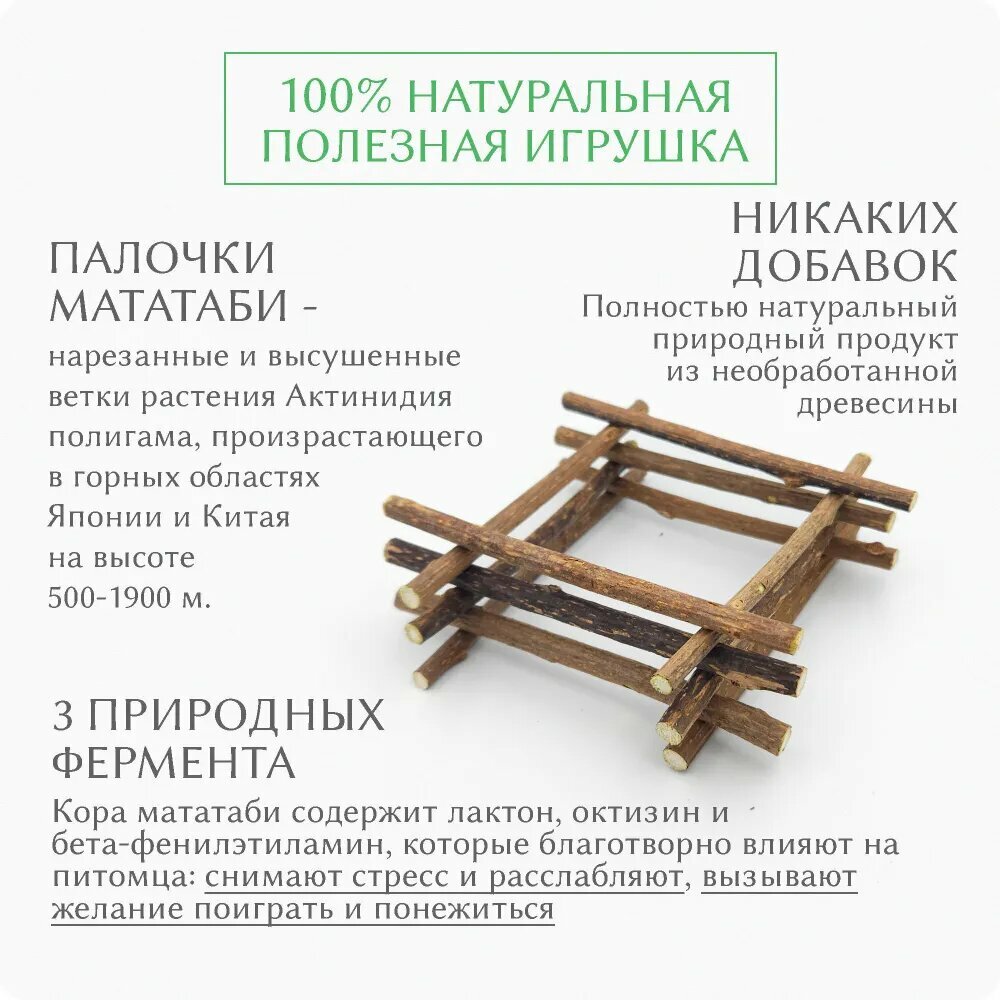 Яблочные ветви, высушенные и измельченные зубами, толщина в среднем 20 штук (можно грызть в течение двух недель) — фото 1