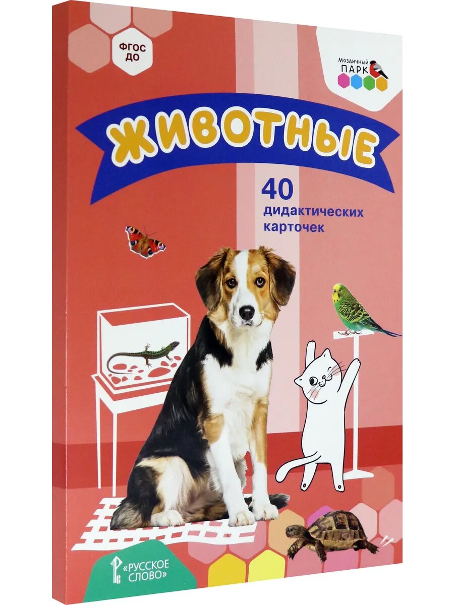 Животные. 40 дидактических карточек. ФГОС до