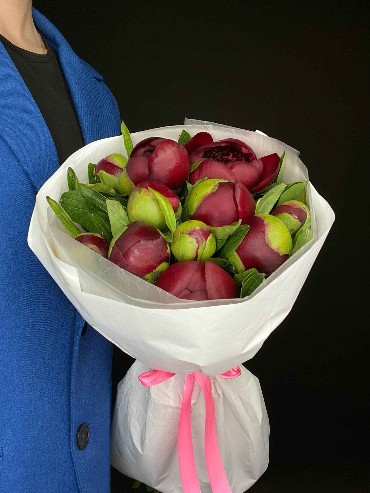 Бордовые пионы