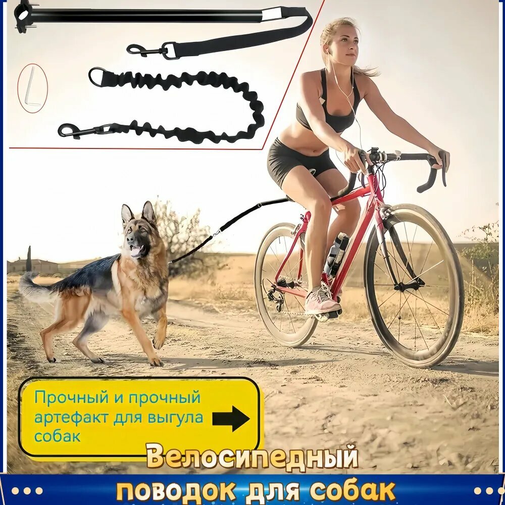 Поводок