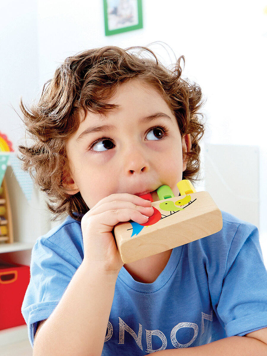 Серия: "Волшебный звук". Детская музыкальная игрушка "Разноцветная флейта Пана" Hape E1025_HP