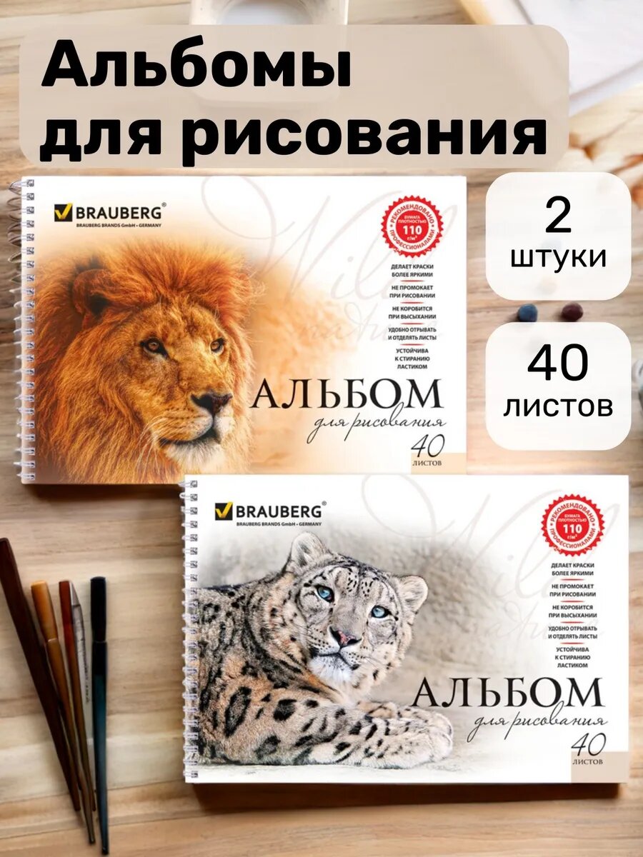 Альбом для рисования Brauberg "Лев", формат А4, на спирали, 40 листов, 2 штуки
