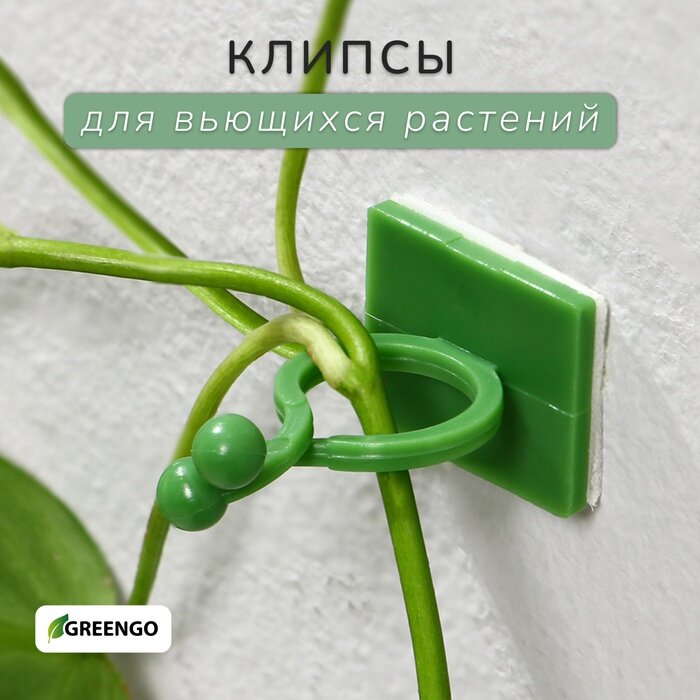 Крепления для вьющихся растений, самоклеящиеся, d=15 мм, цвет микс, Greengo