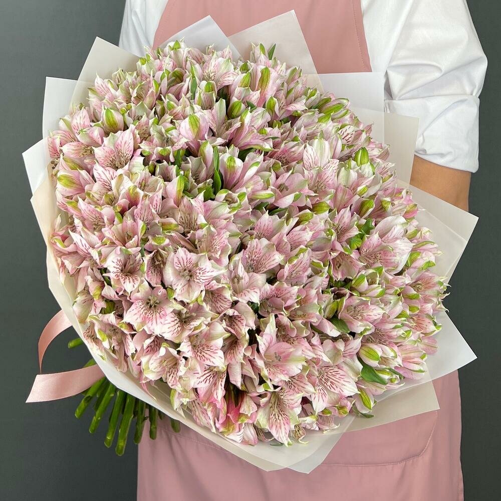 Букет живых цветов. Розовая Альстромерия 51 шт. в декоративной упаковке