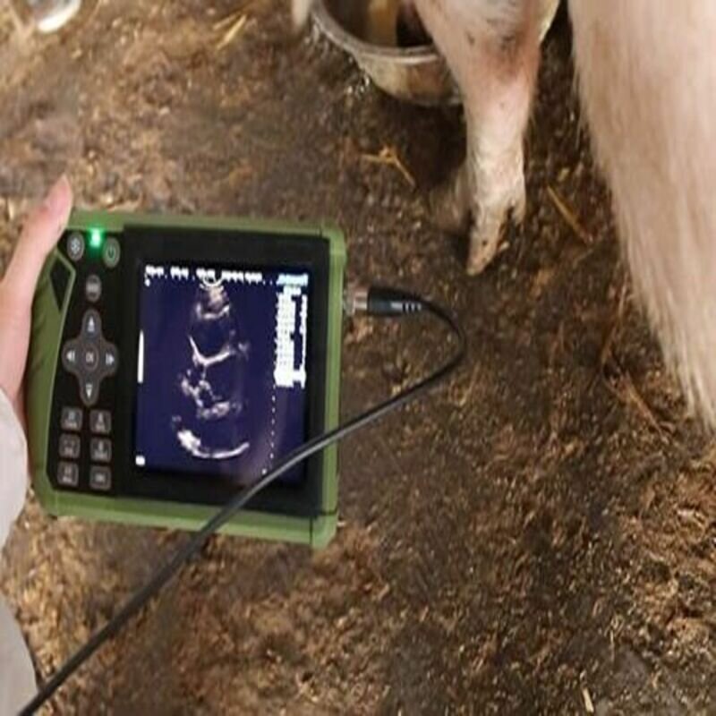 Ветеринарный ультразвуковая сканеры, Портативный ветеринарный ручной сканер B-УльтрАзвук с зондом 3,5 МГц для определения беременности свиньи, овцы, собаки, кошки