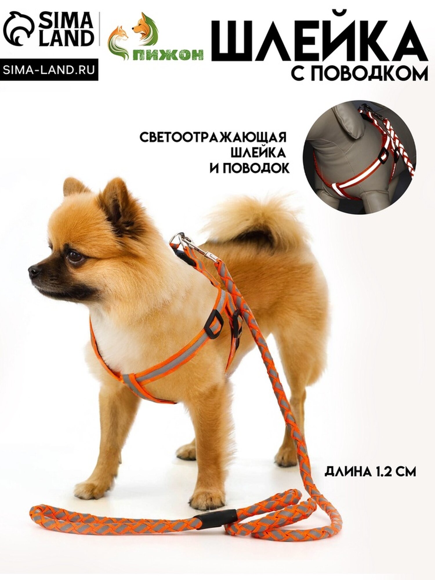 Комплект "Плетенка", флуоресцентный, поводок 115 х 1 см, ОГ 32-48 х 1,5 см, оранжевый