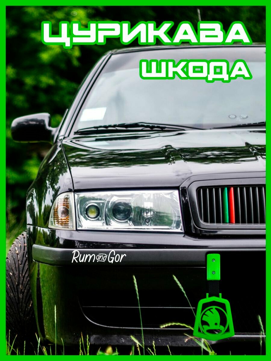 Цурикава Шкода/Skoda зеленого цвета