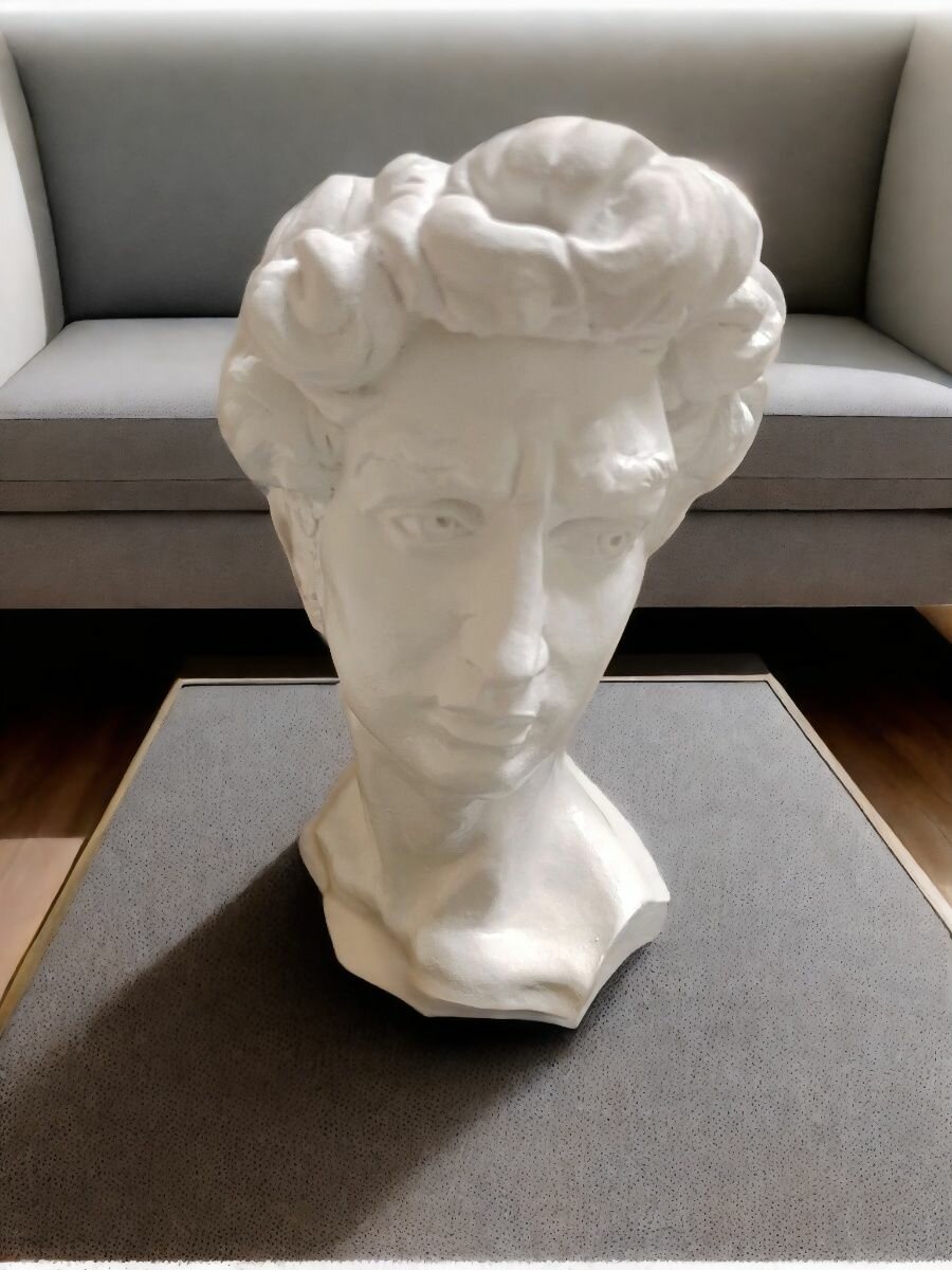 Кашпо Давид