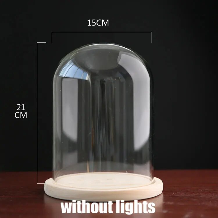 Стеклянный купол с деревянной подставкой