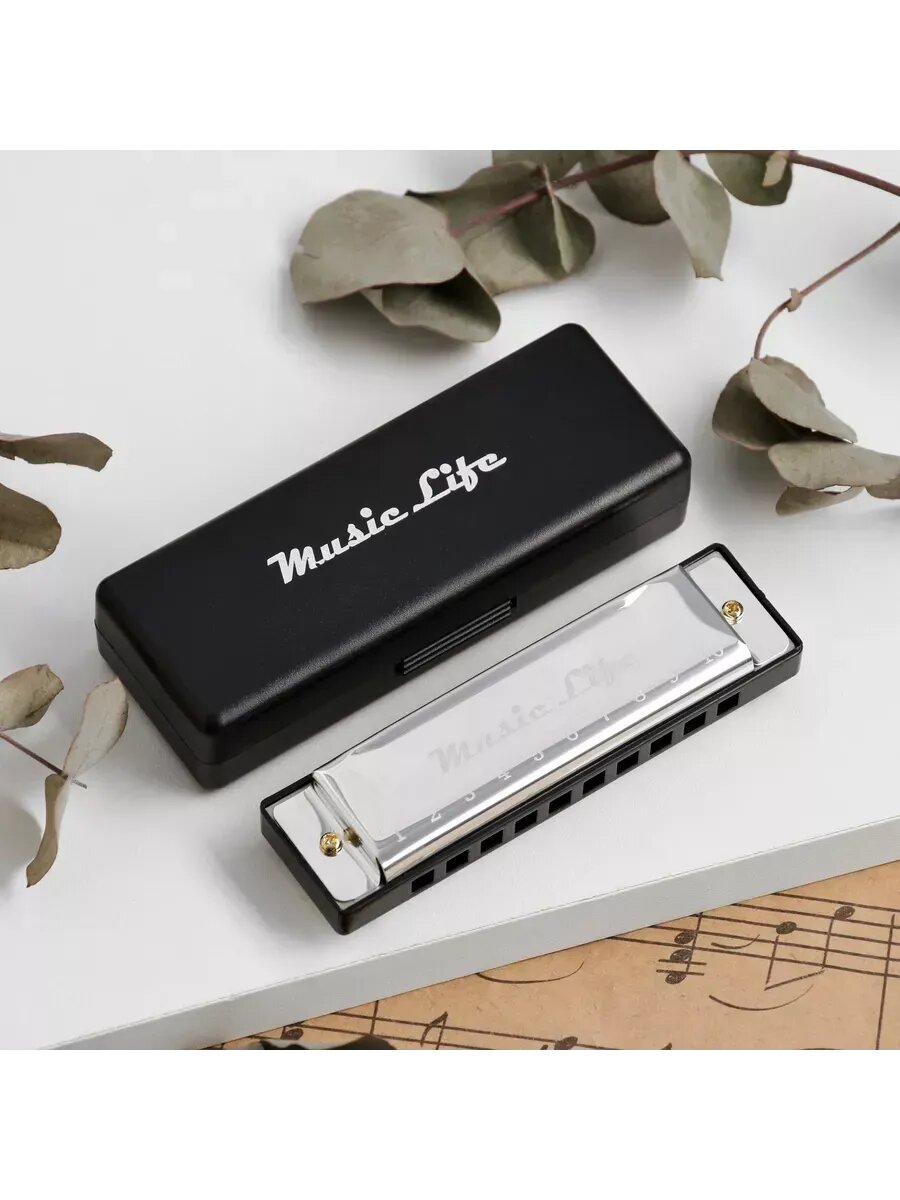 Губная гармошка