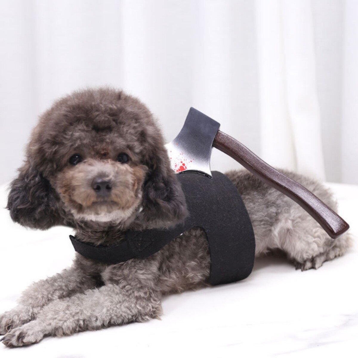 Странные Pet Собака Собака Кошка Одежда Декоративные Pet Одежда Pet Игрушки